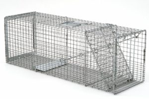 Standard Box Traps - Safeguard Traps Humane Traps