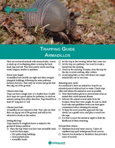 Armadillos - Safeguard Traps