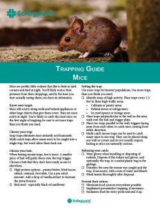 Mice - Safeguard Traps