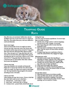 Rats - Safeguard Traps